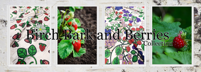 49 Design Edmonton Store